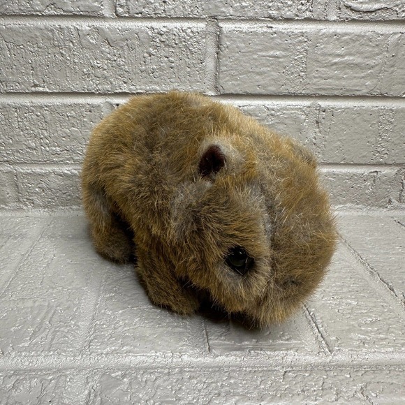Australia | Toys | Sydney Wombat Plush 7 Realistic Australian Designed ...